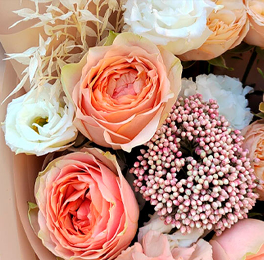 Flowers St George Utah 🌻 Oct 2025